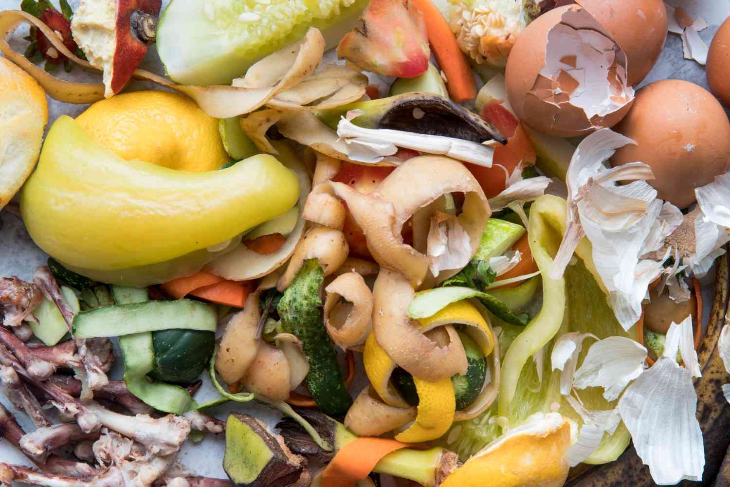 What Do Worms Eat? 10 Best Foods (and What To Avoid) - %site